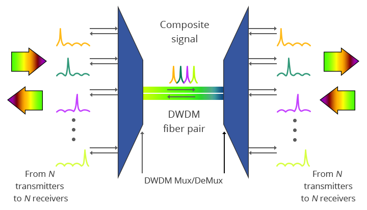 DWDM System Components of the Campus Network and Metropolitan Network Overview | QSFPTEK
