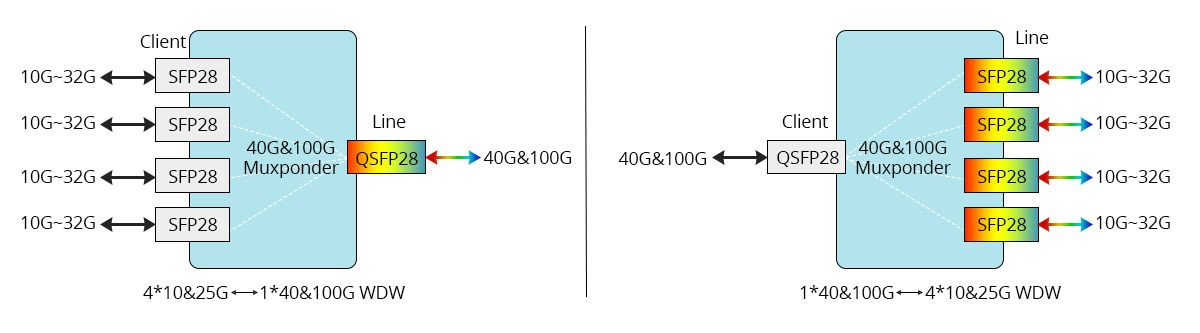 40G/100G OTN Muxponder, 4x SFP+/SFP28 to 1x QSFP+/QSFP28