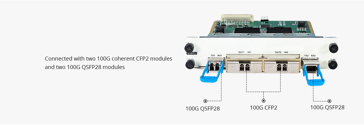 100G Tranponder for Multi-Service Transmission