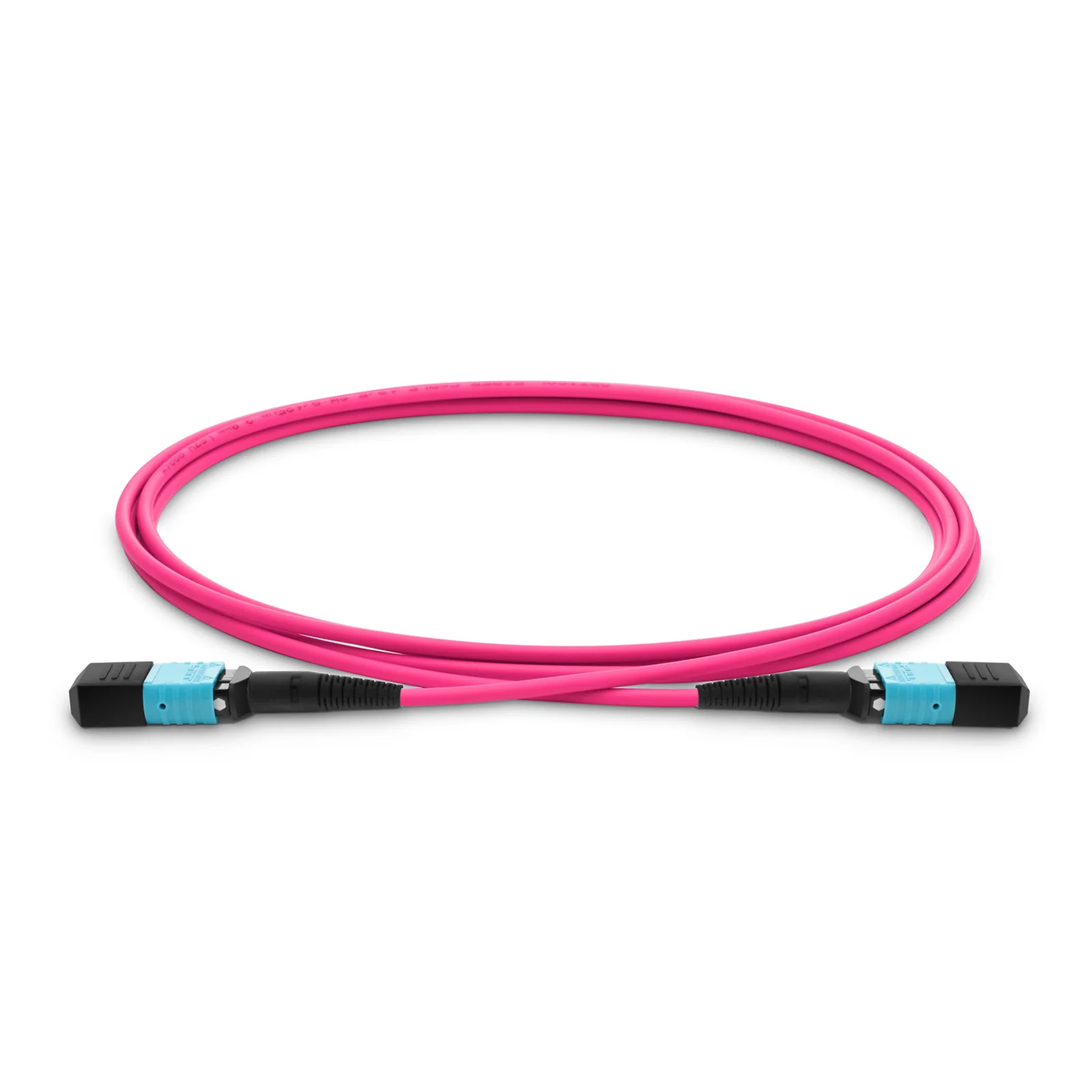 20m (66ft) MTP-12 (Female) to MTP-12 (Female) OM4 Trunk Cable, 12 ...