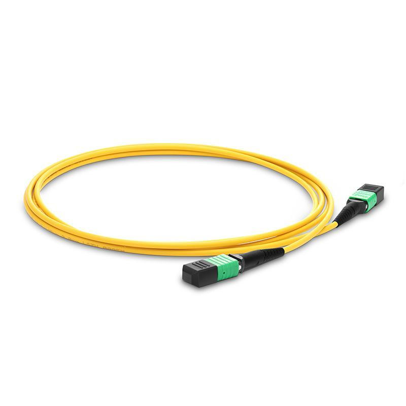 3m (10ft) MTP-12 (Female) to MTP-12 (Female) OS2 Single Mode Elite ...