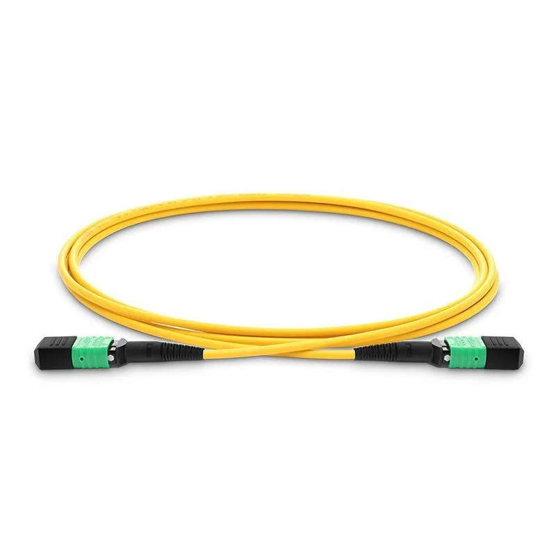 4m (13ft) MTP-12 (Female) to MTP-12 (Female) OS2 Single Mode Elite ...