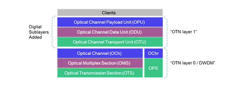 What Is OTN—Optical Transport Network?