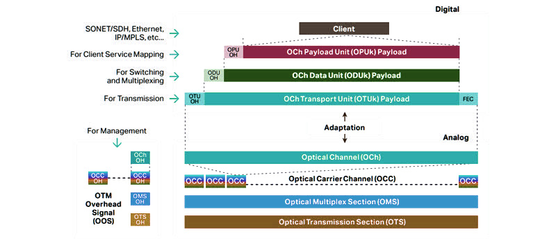 Was ist OTN (Optical Transport Network)?