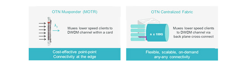 What Is OTN—Optical Transport Network?