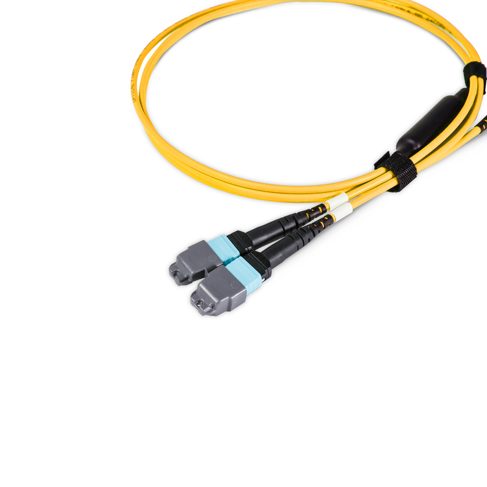 3m (10ft) 1× 24 MTP Female to 2× 12 MTP OS2 9/125 Single Mode Elite ...