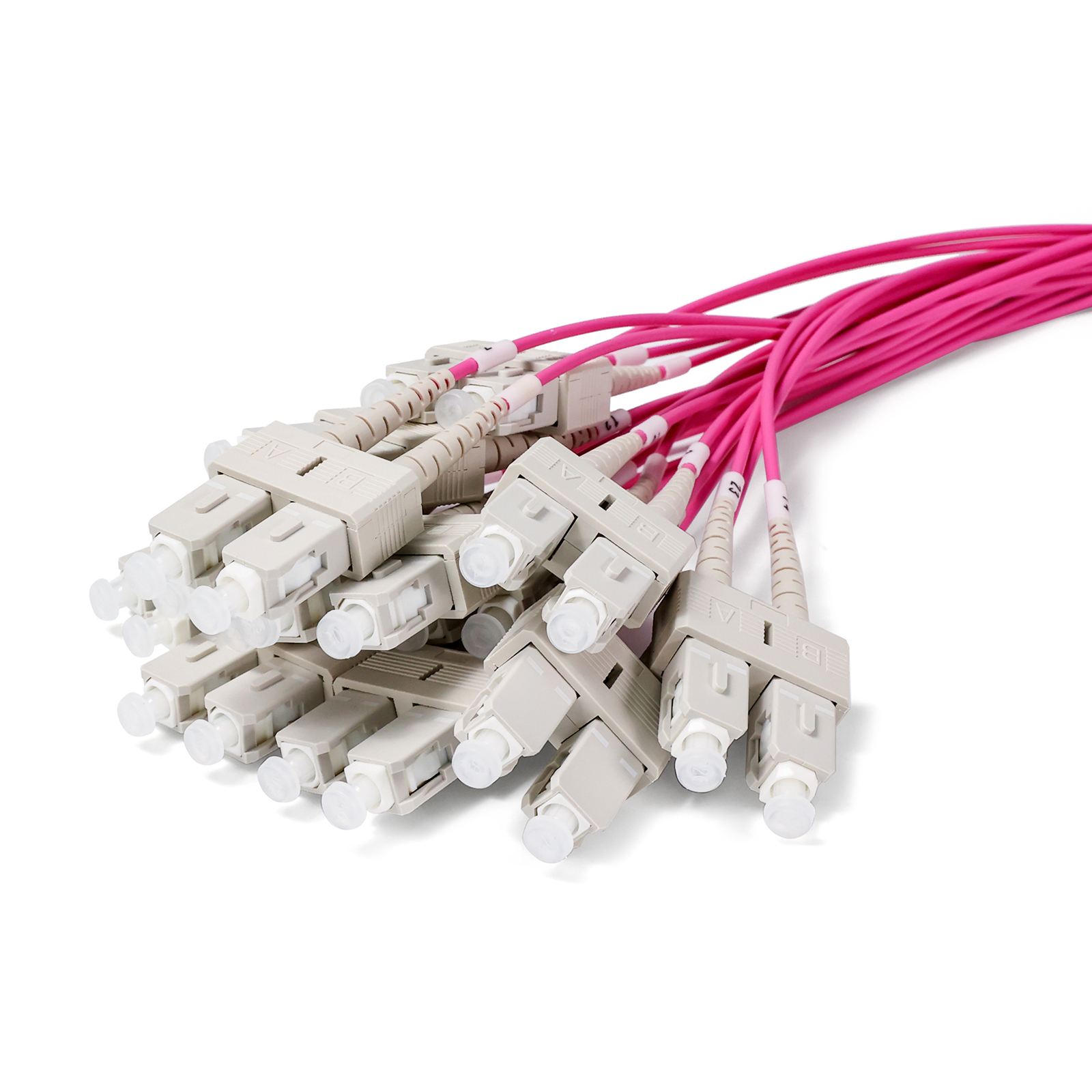 2m (7ft) MTP Female to 12 SC UPC Duplex 24 Fibers Type B Plenum (LSZH ...