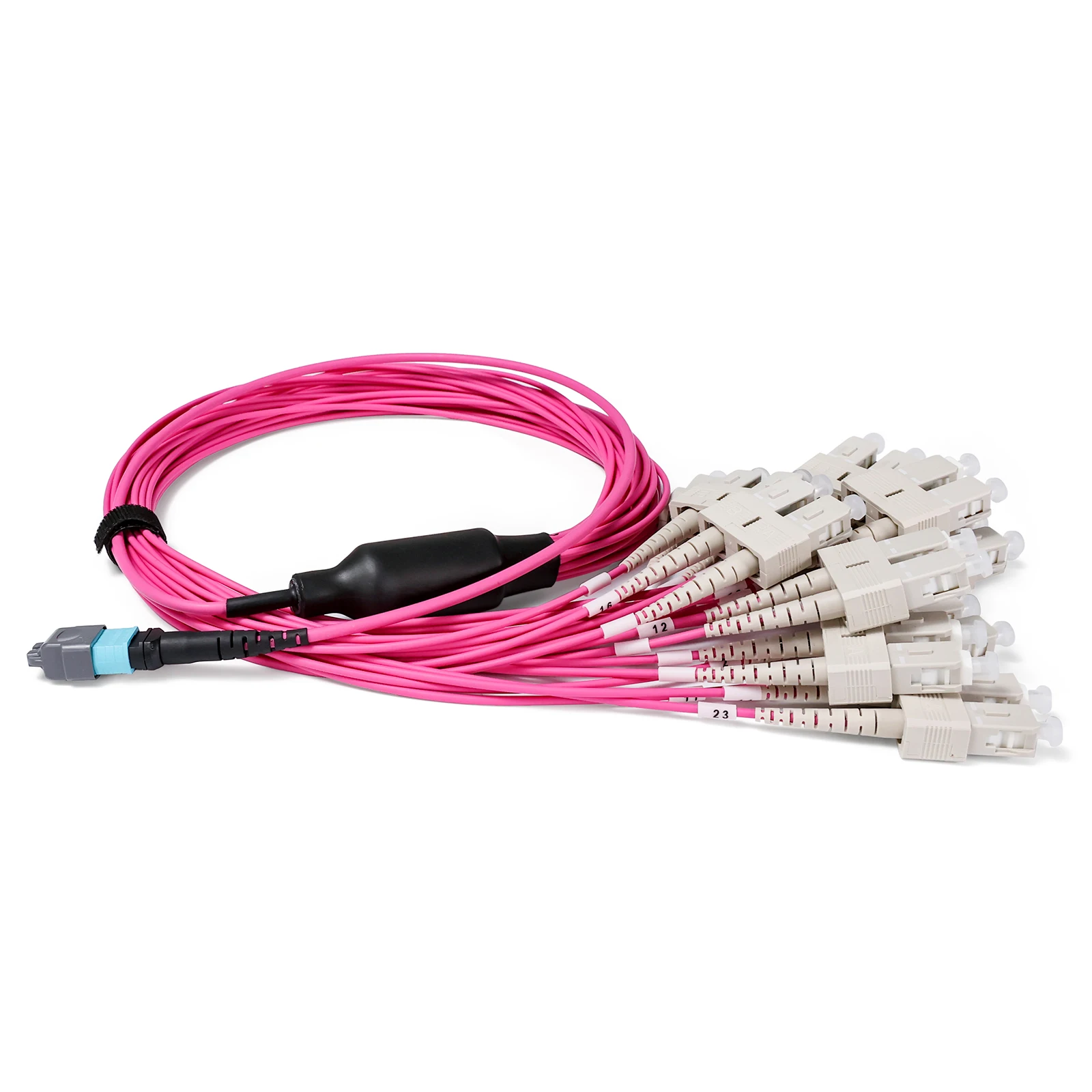 3m (10ft) MTP Female to 12 SC UPC Duplex 24 Fibers Type B Plenum (LSZH ...