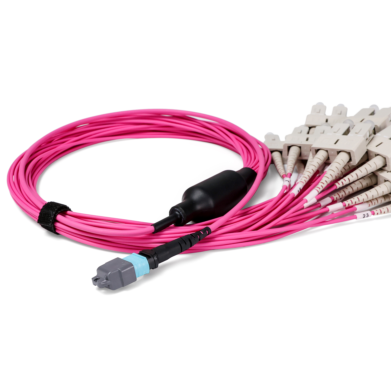 3m (10ft) MTP Female to 12 SC UPC Duplex 24 Fibers Type B Plenum (LSZH ...