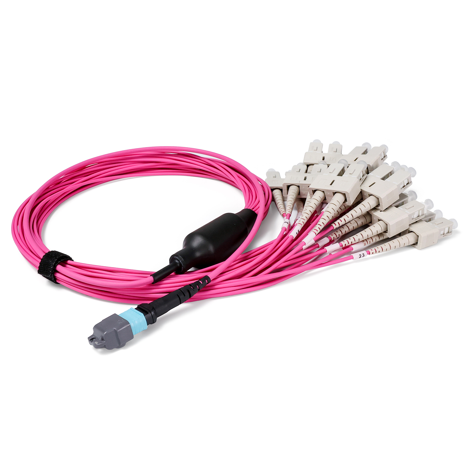 15m (49ft) MTP Female to 12 SC UPC Duplex 24 Fibers Type B Plenum (LSZH ...