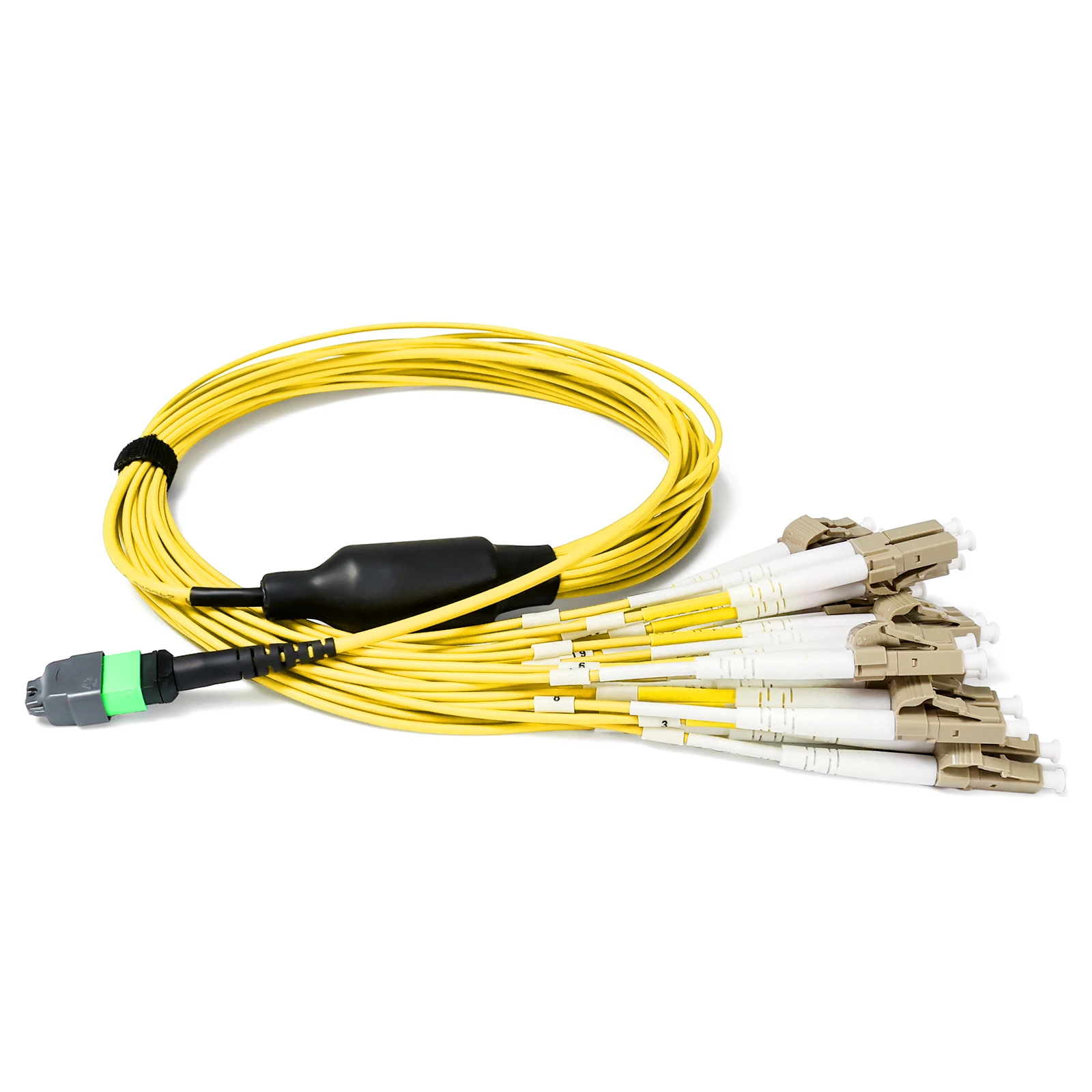 10m (33ft) MTP Female to 12 LC UPC Duplex 24 Fibers Type B Plenum (LSZH ...