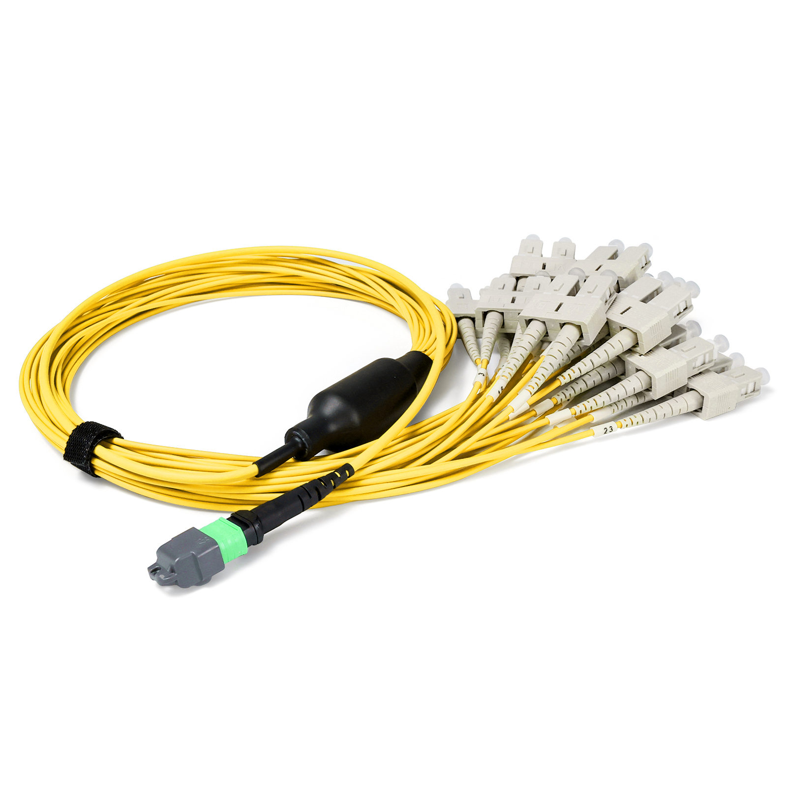 3m (10ft) MTP Female to 12 SC UPC Duplex 24 Fibers Type B Plenum (LSZH ...