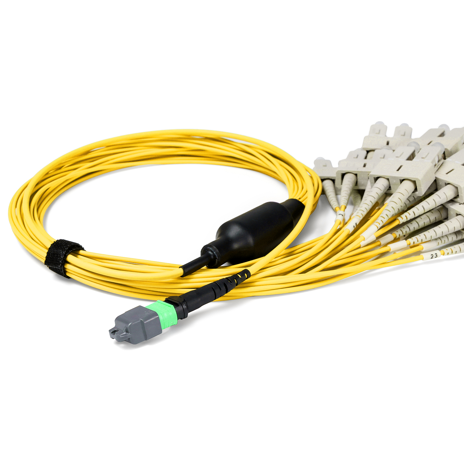3m (10ft) MTP Female to 12 SC UPC Duplex 24 Fibers Type B Plenum (LSZH ...