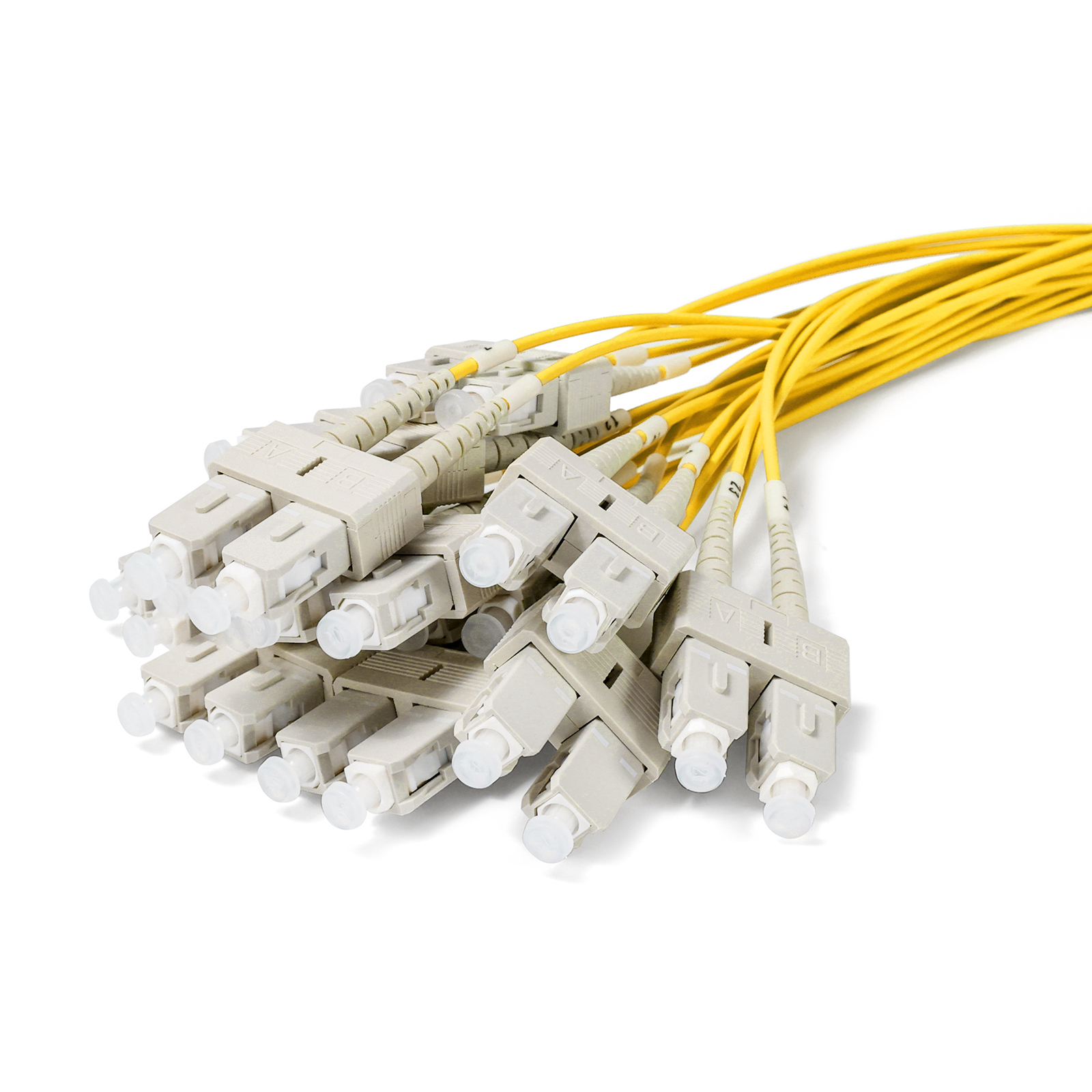 3m (10ft) MTP Female to 12 SC UPC Duplex 24 Fibers Type B Plenum (LSZH ...
