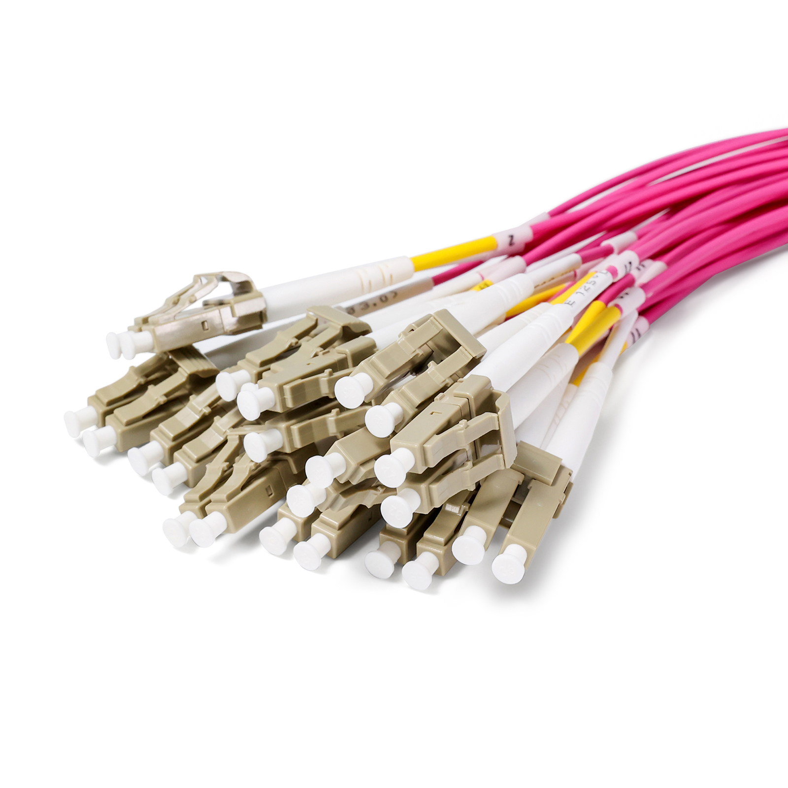 10m (33ft) MTP Female to 12 LC UPC Duplex 24 Fibers Type B Plenum (LSZH ...