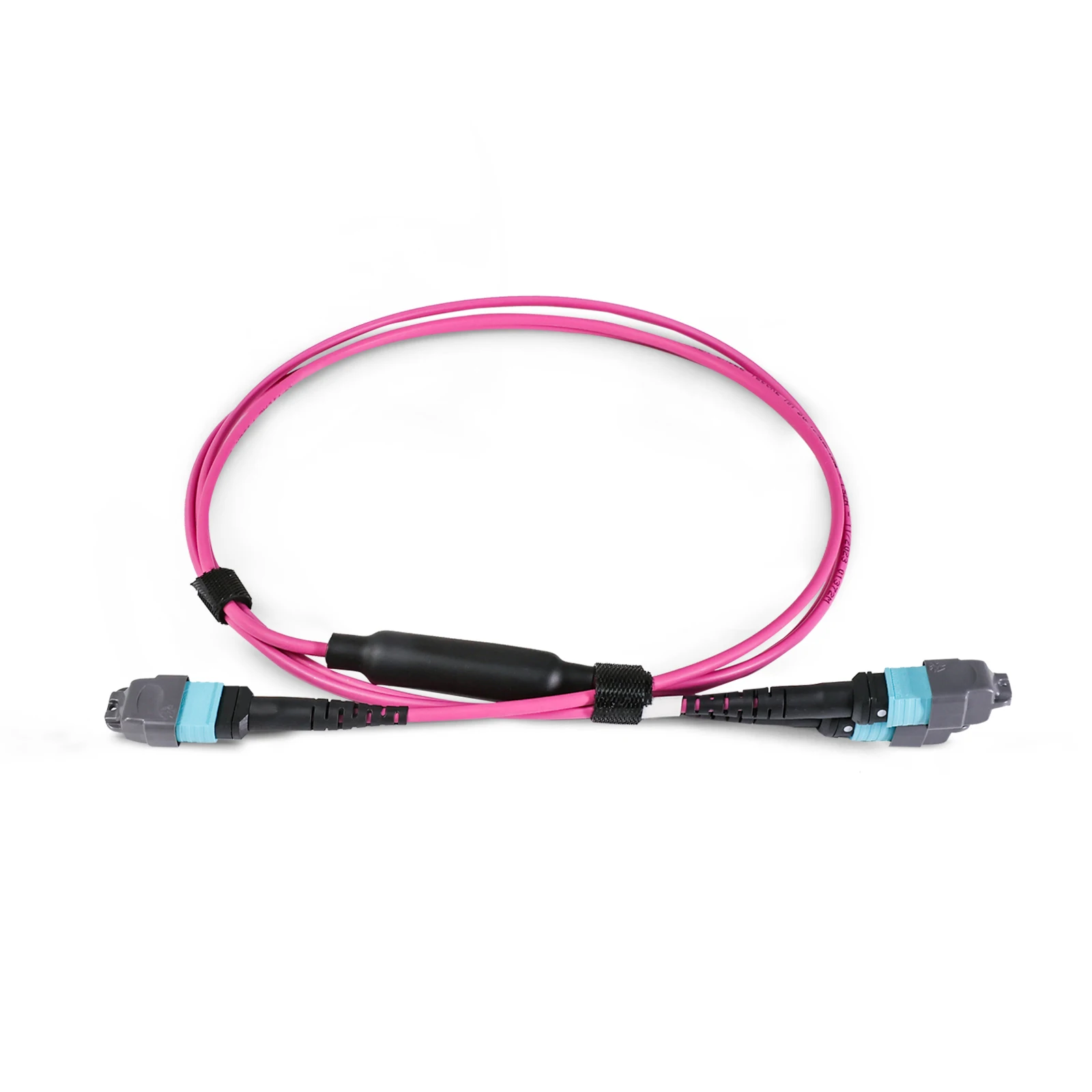 12m (39ft) 1× 24 MTP Female to 2× 12 MTP OM4 50/125 Multimode Elite ...