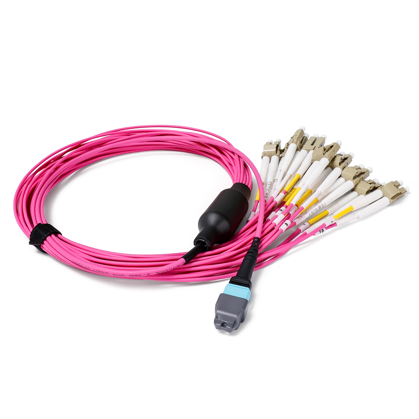 20m (66ft) MTP Female to 12 LC UPC Duplex 24 Fibers Type B Plenum (LSZH ...
