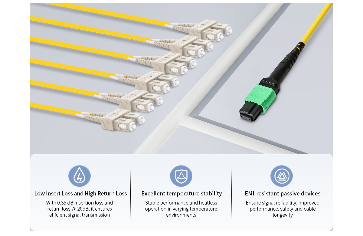 6m (20ft) MTP Female to 12 SC UPC Duplex 24 Fibers Type B Plenum (LSZH ...