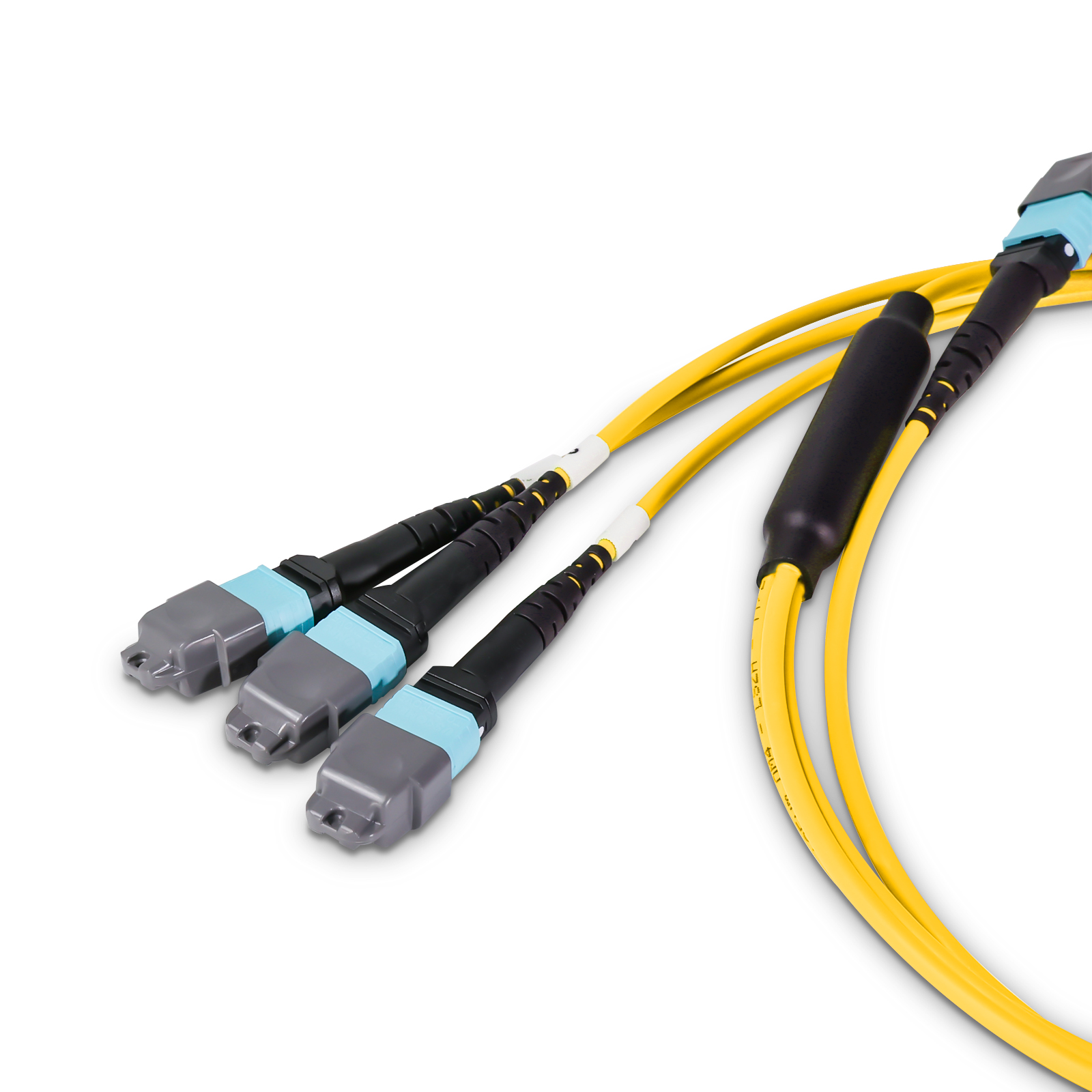 3m(10피트) 1×24 MTP 암컷 - 3×8 MTP OS2 9/125 단일 모드 Elite 변환 케이블, 24개 파이버, B ...