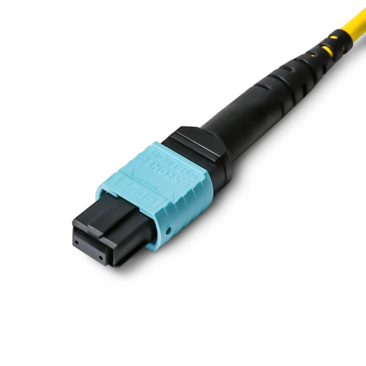 3m(10피트) 1×24 MTP 암컷 - 3×8 MTP OS2 9/125 단일 모드 Elite 변환 케이블, 24개 파이버, B ...