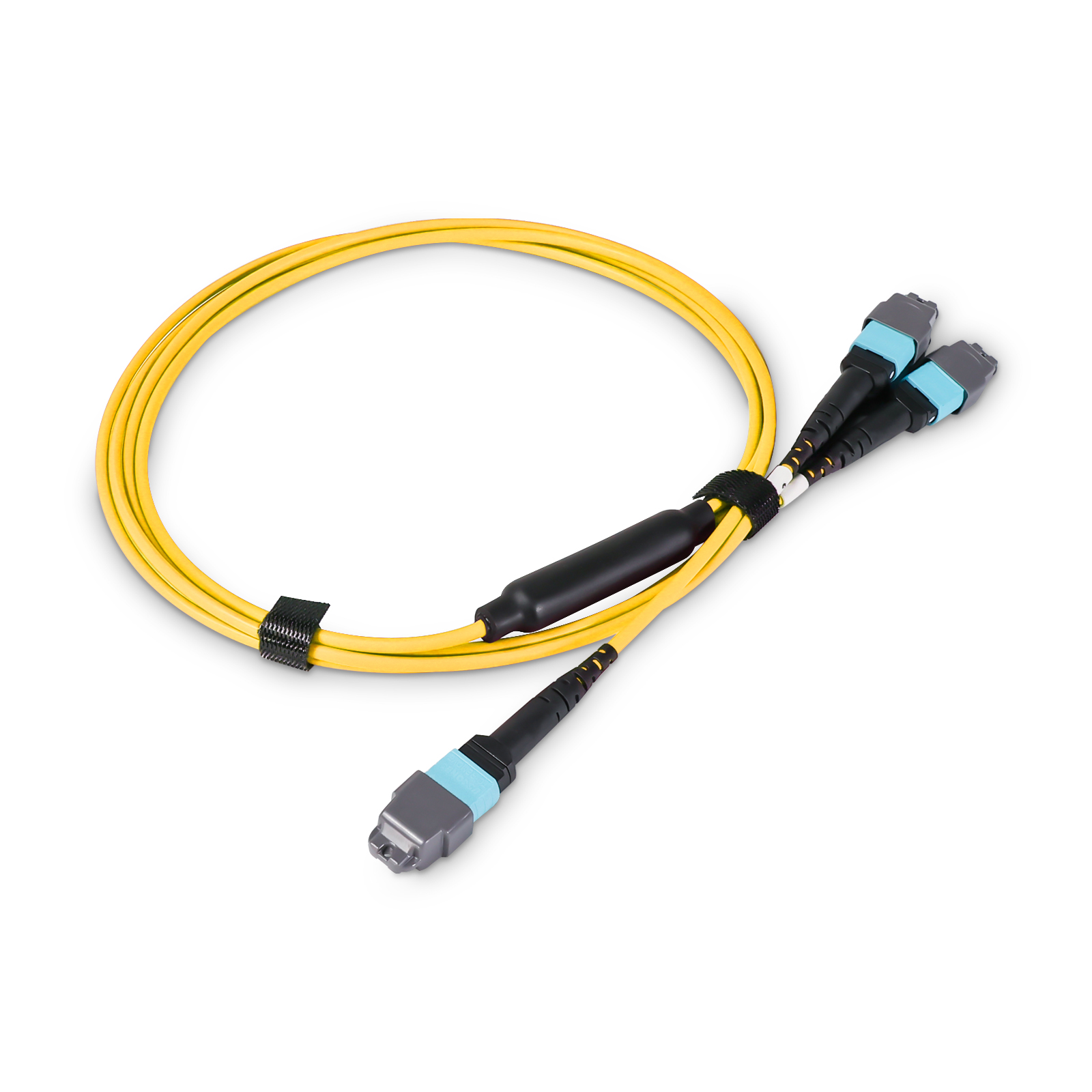 12m (39ft) 1× 24 MTP Female to 3× 8 MTP OS2 9/125 Single Mode Elite ...