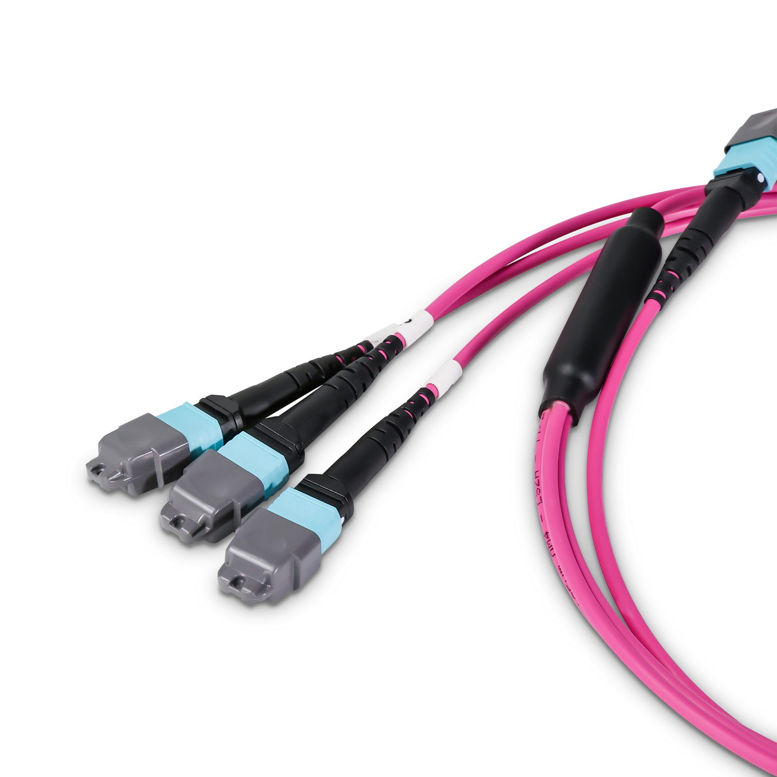 1m (3ft) 1× 24 MTP Female to 3× 8 MTP OM4 50/125 Multimode Elite ...