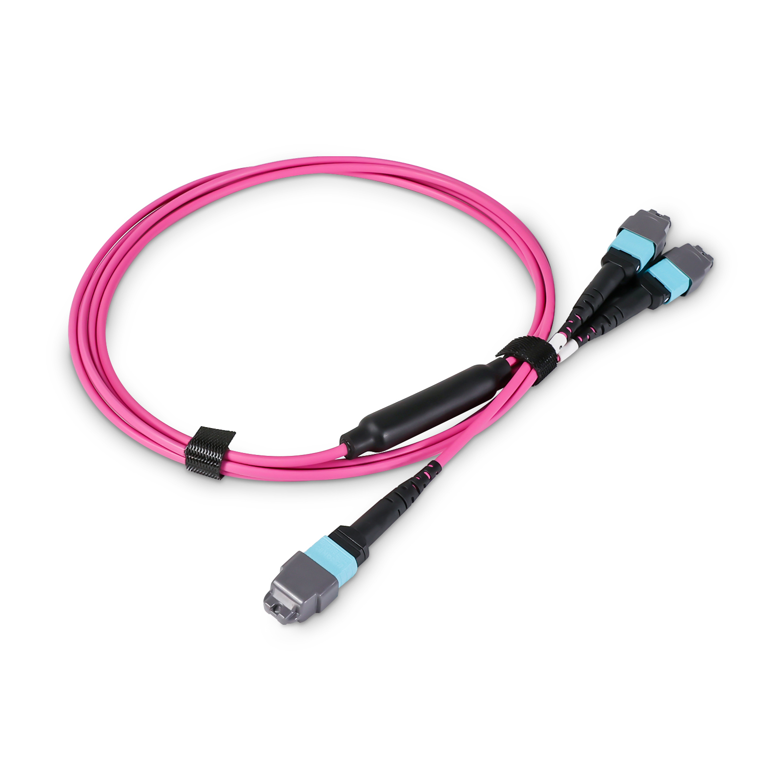 5m (16ft) 1× 24 MTP Female to 3× 8 MTP OM4 50/125 Multimode Elite ...