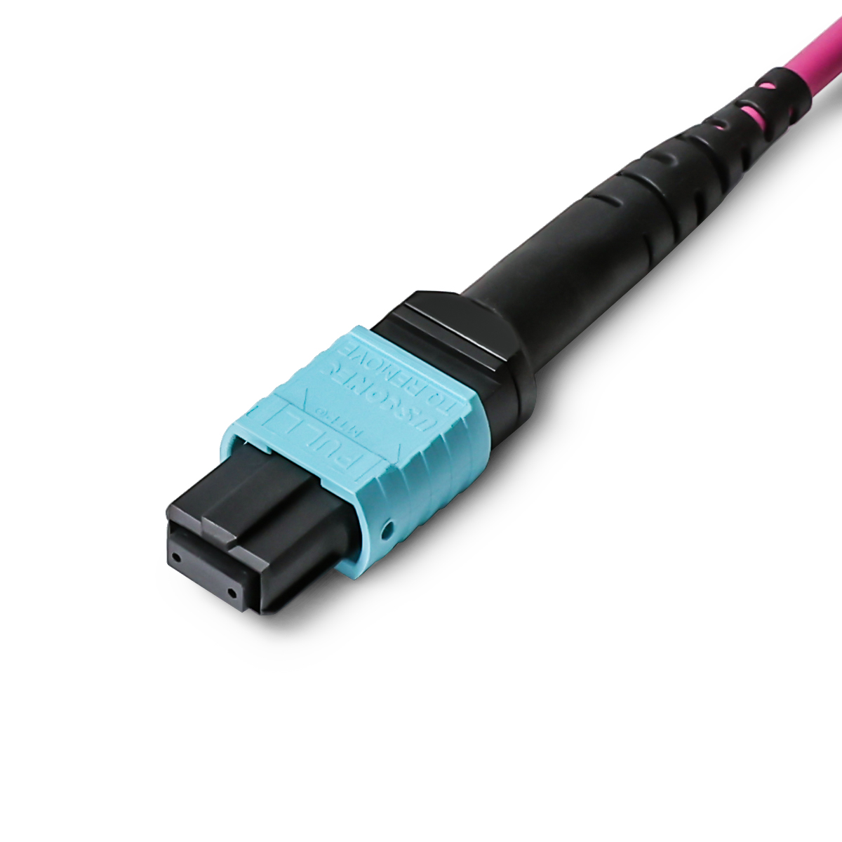 5m (16ft) 1× 24 MTP Female to 3× 8 MTP OM4 50/125 Multimode Elite ...