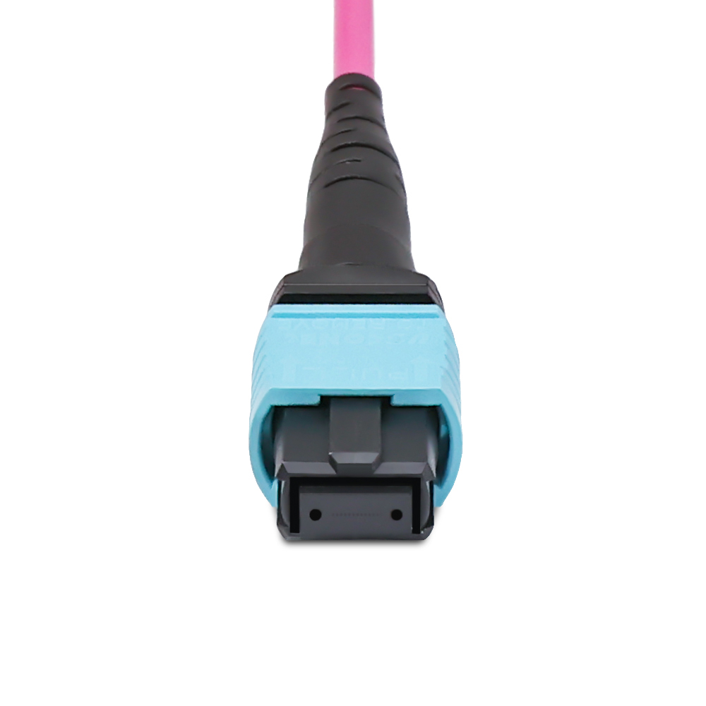 20m (66ft) 1× 24 MTP Female to 3× 8 MTP OM4 50/125 Multimode Elite ...