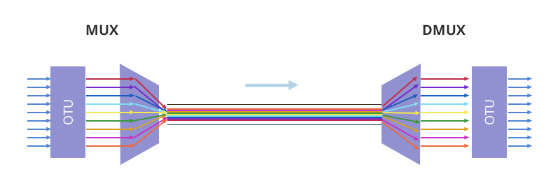 How To Choose Between WDM vs OTN - QSFPTEK