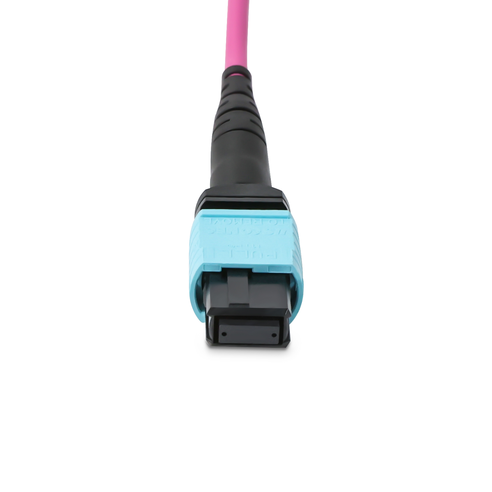 1m (3ft) MTP-16 (Female) to MTP-16 (Female) OM4 Elite Trunk Cable, 16 ...