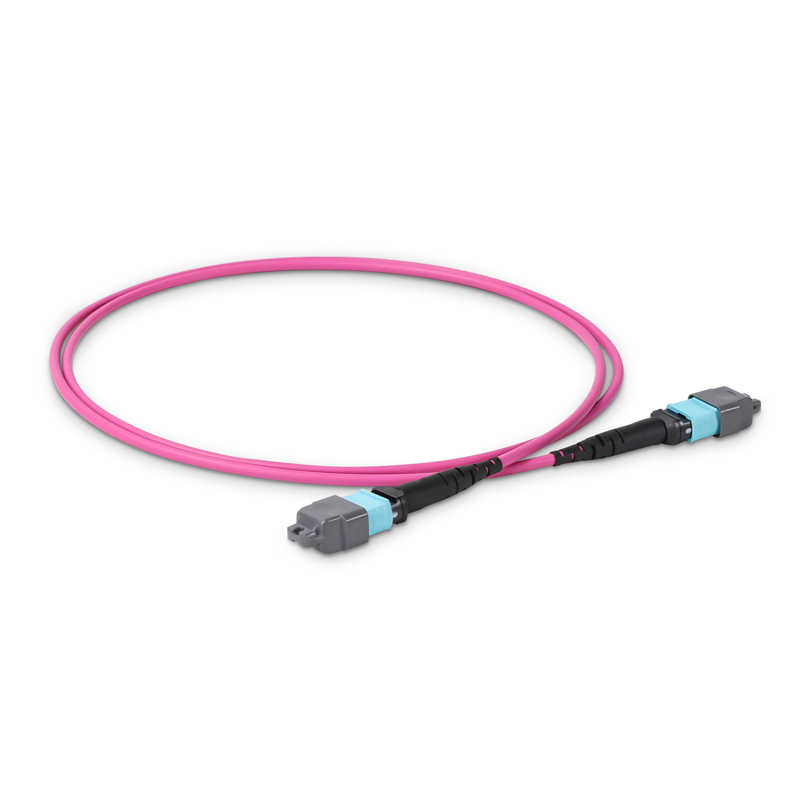 3m (10ft) MTP-16 (Female) to MTP-16 (Female) OM4 Elite Trunk Cable, 16 ...