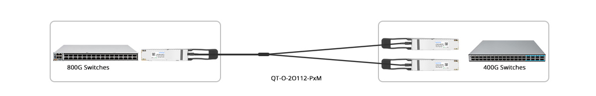 2m Nvidia Compatible 800G OSFP to 2x 400G OSFP112 Passive Twinax DAC ...