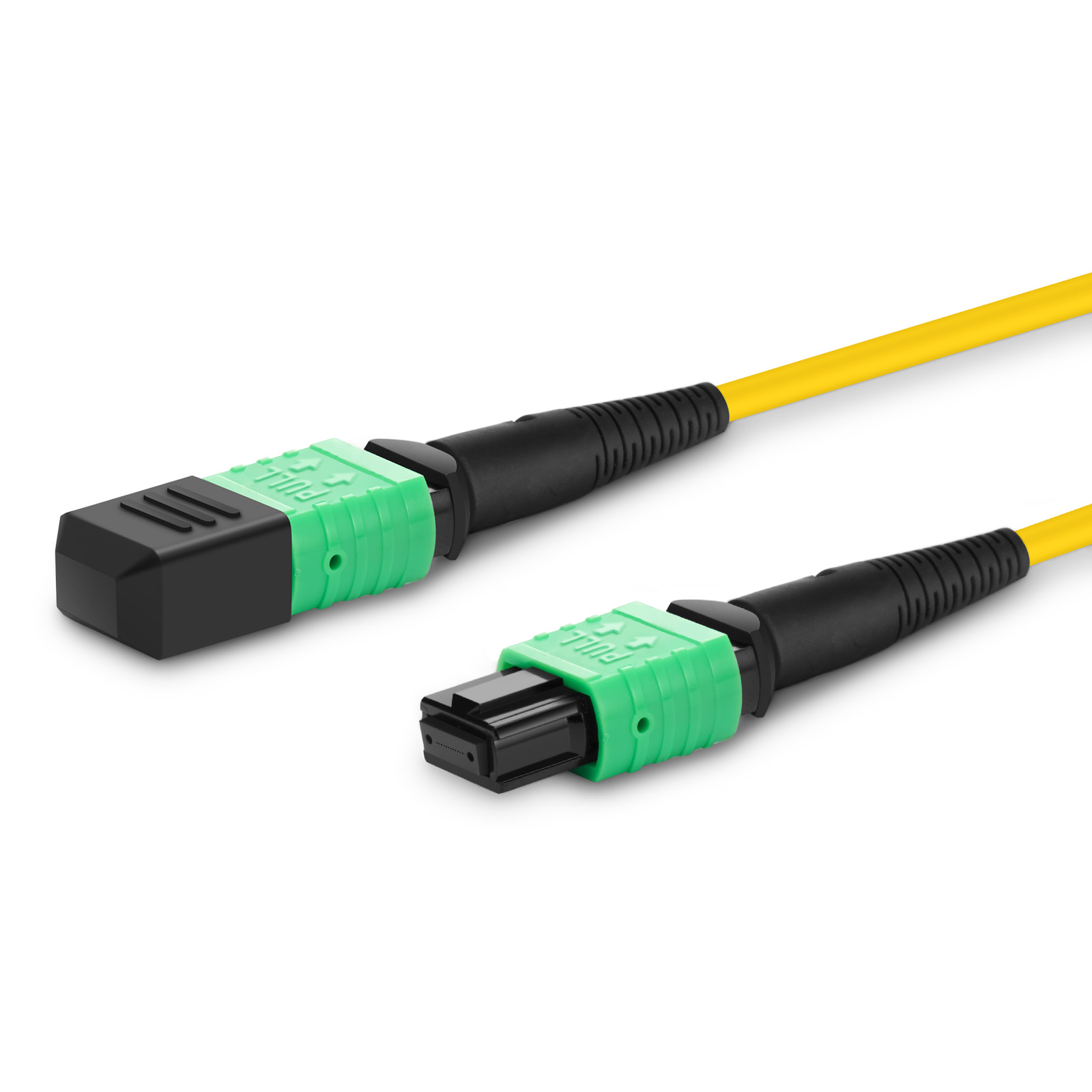 1m (3ft) MPO-12 APC (Female) to MPO-12 APC (Female) OS2 Singlemode Elite Trunk Cable, 12 Fibers ...