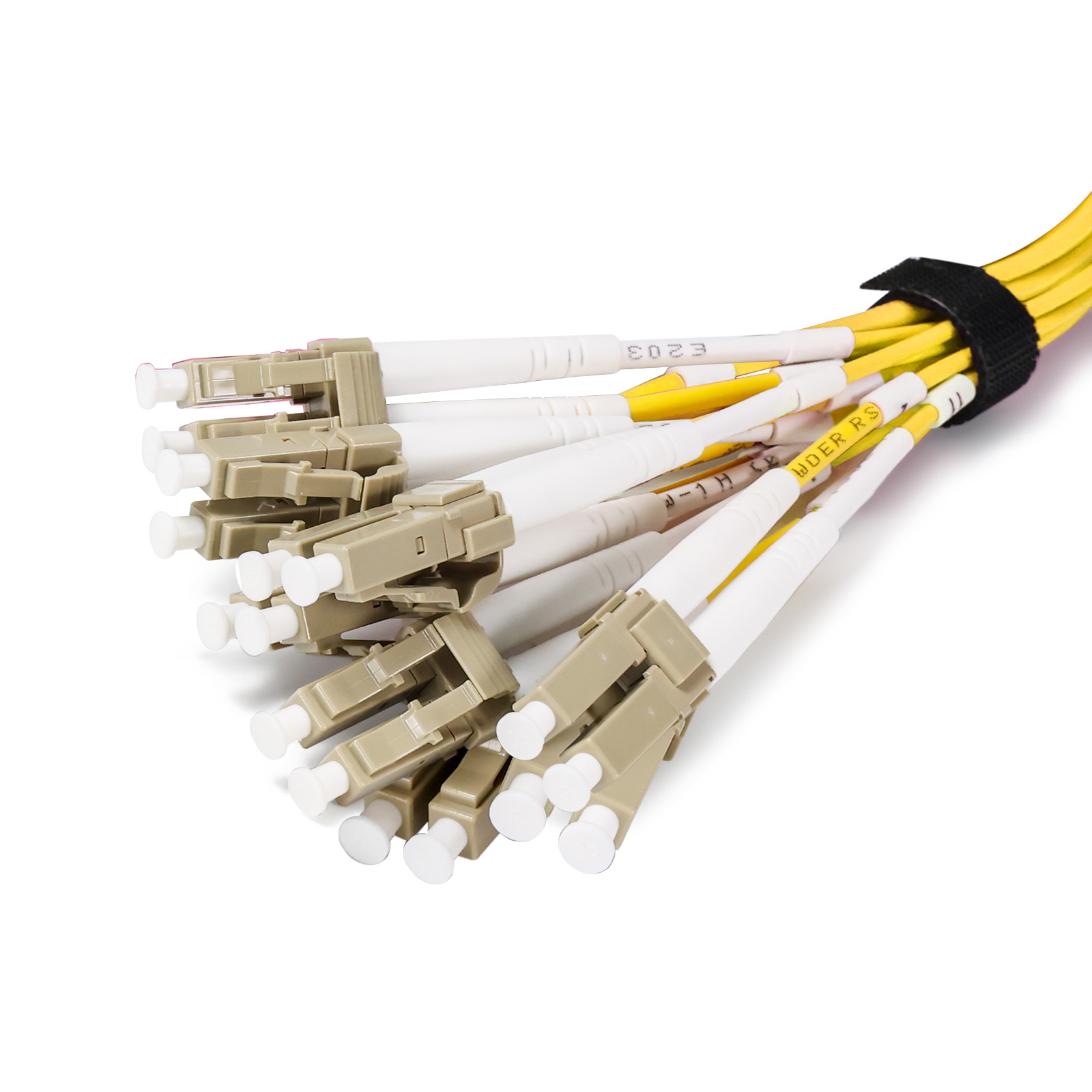 1m (3ft) MPO-16 APC (Female) to 8x LC UPC Duplex OS2 Singlemode Elite ...