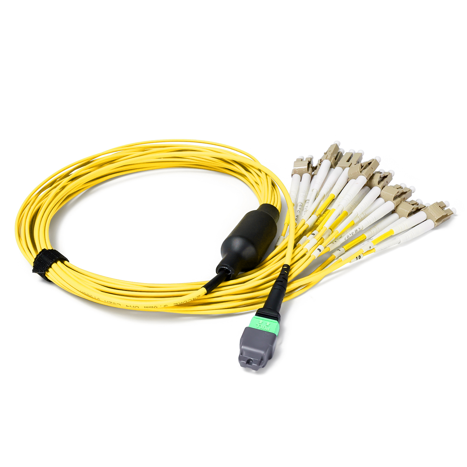 8m (26ft) MPO-24 APC (Female) to 12x LC UPC Duplex OS2 Singlemode Elite ...