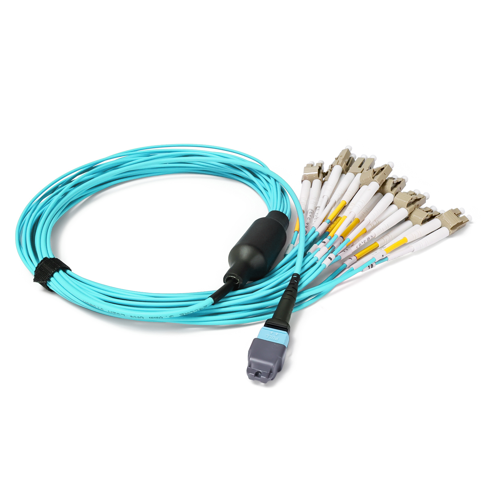12m 39ft MPO-24 to 12x LC Duplex 24 Fibers LSZH OM3 Multimode Elite ...