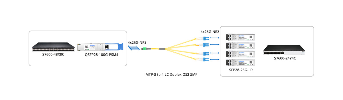 A Guide Based on Core Numbers to Choose The Right MTP/MPO Cable | QSFPTEK