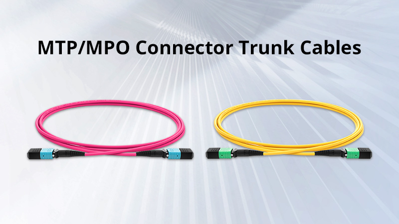 MTP/MPO Breakout Cables VS. MTP/MPO Trunk Cables: What's the Difference?
