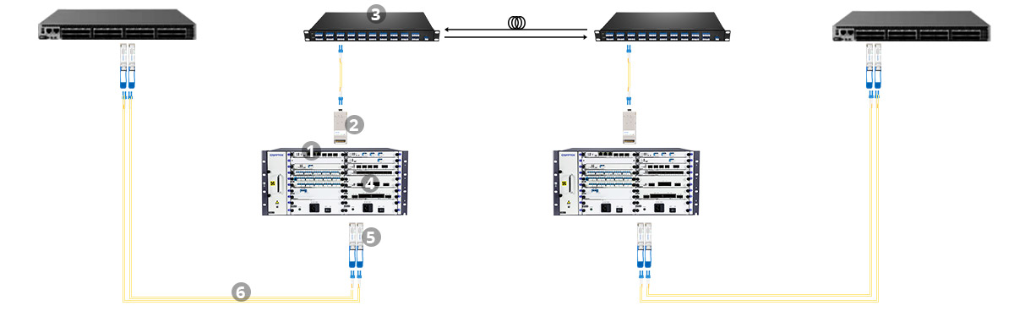 Generic Compatible 200G DWDM Coherent CFP2-DCO Transceiver - QSFPTEK