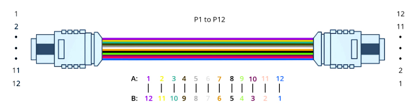 How to Choose Between MTP Type A and Type B - QSFPTEK